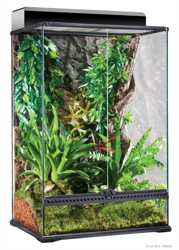 Terrario Reptiles Insectos Medium Xtall Exo Terra 60x45x90cm ...